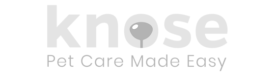 Cavoodle Puppies For Sale Perth | Registered Breeders